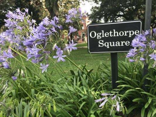 Savannah Historic District - Seven Things Not To Miss In This Historic City